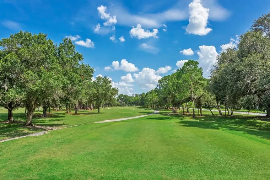 The 14 BEST public golf courses in Tampa, Florida